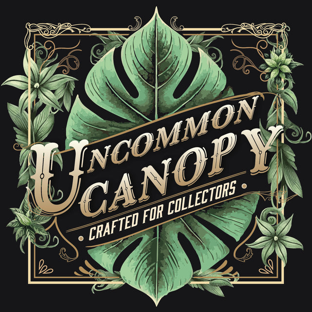 Contact – Uncommon Canopy